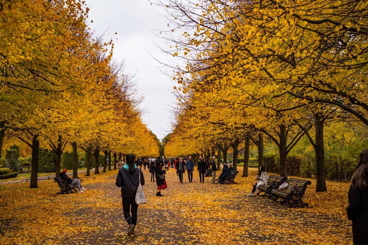 London In Autumn: 50+ Epic Things To Do In 2023