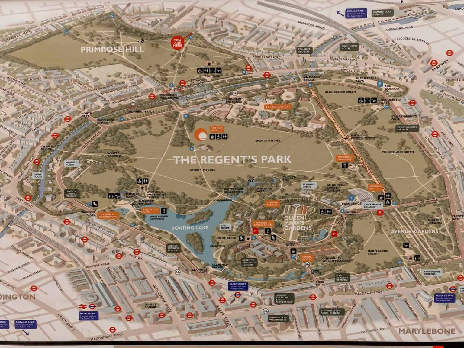 8 Things To Do In Primrose Hill, London: Views, Eating & More