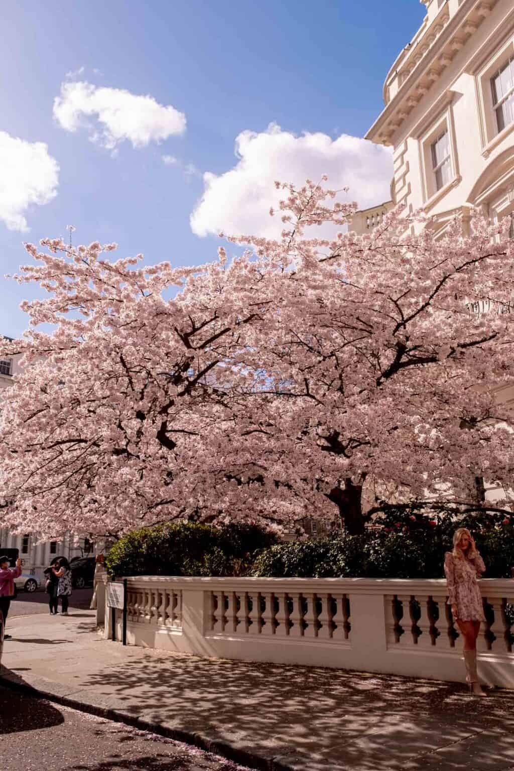 Spring In London, England | 21 Things To Do And See