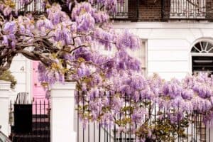 Spring In London, England | 21 Things To Do And See