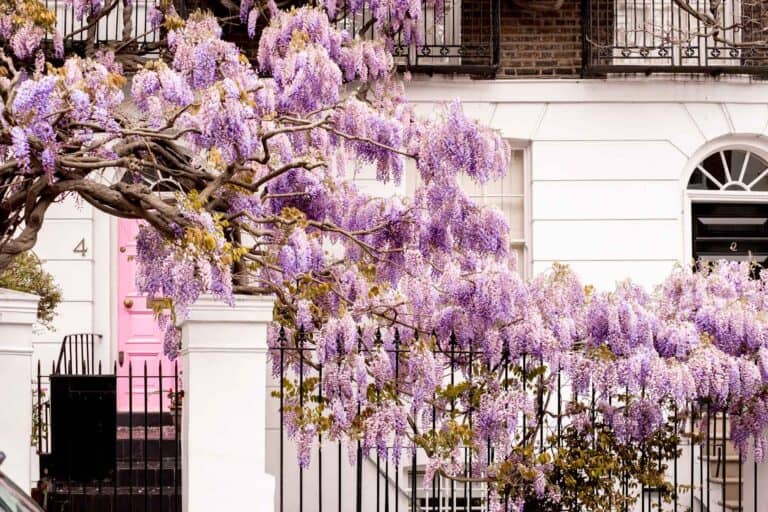 Spring In London, England | 21 Things To Do And See