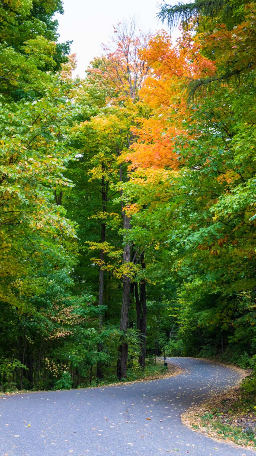Fall In Vermont: Best Things To Do In Vermont In The Fall