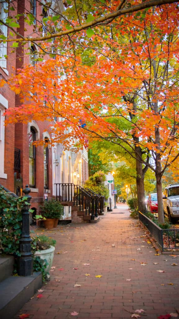 21 New York Fall Bucket List For First-Time Visitors